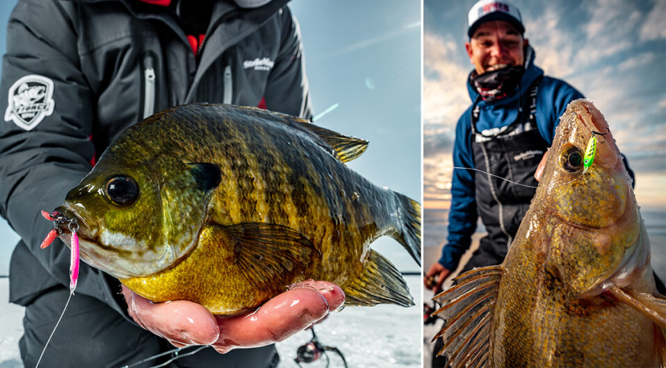 IF YOU MESS WITH THE BULL, THE FISH GET THE HORNS! | ICE FORCE | Ice ...